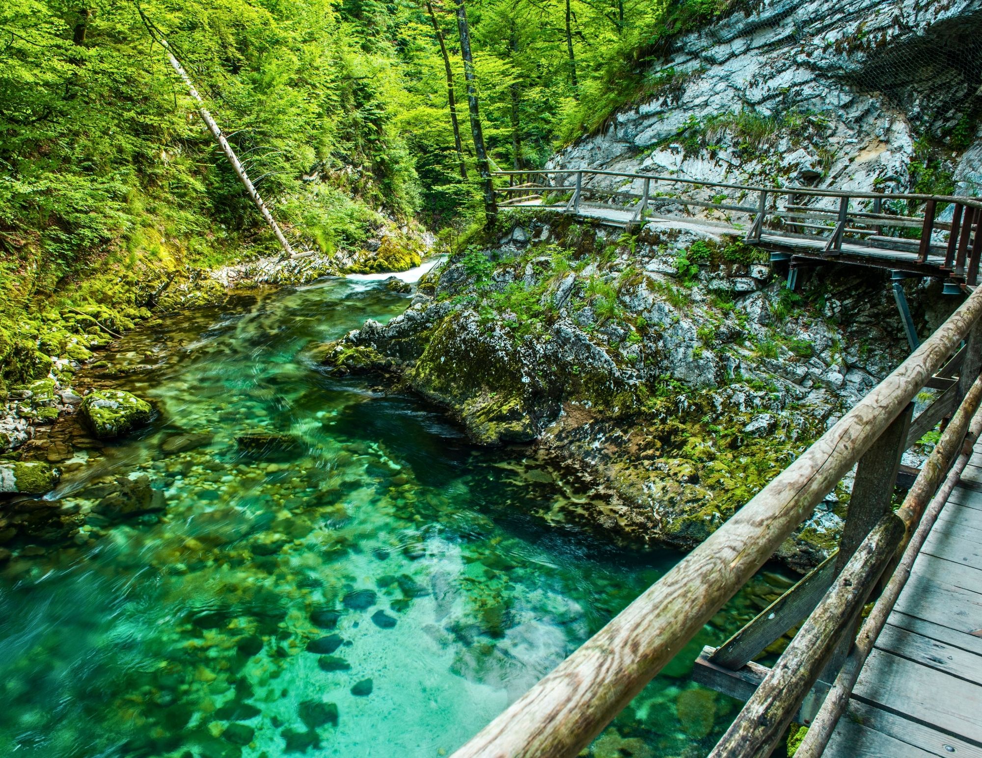 Jednodnevni izleti – Silvija Turist